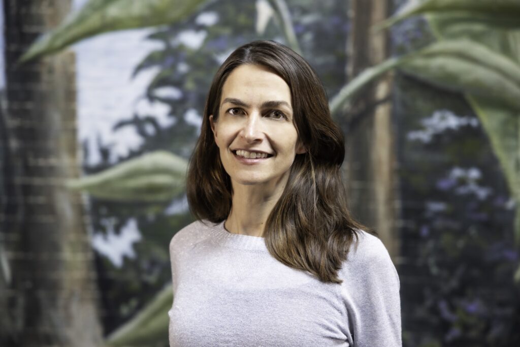 Pincelli M. Hull | Schmidt Sciences